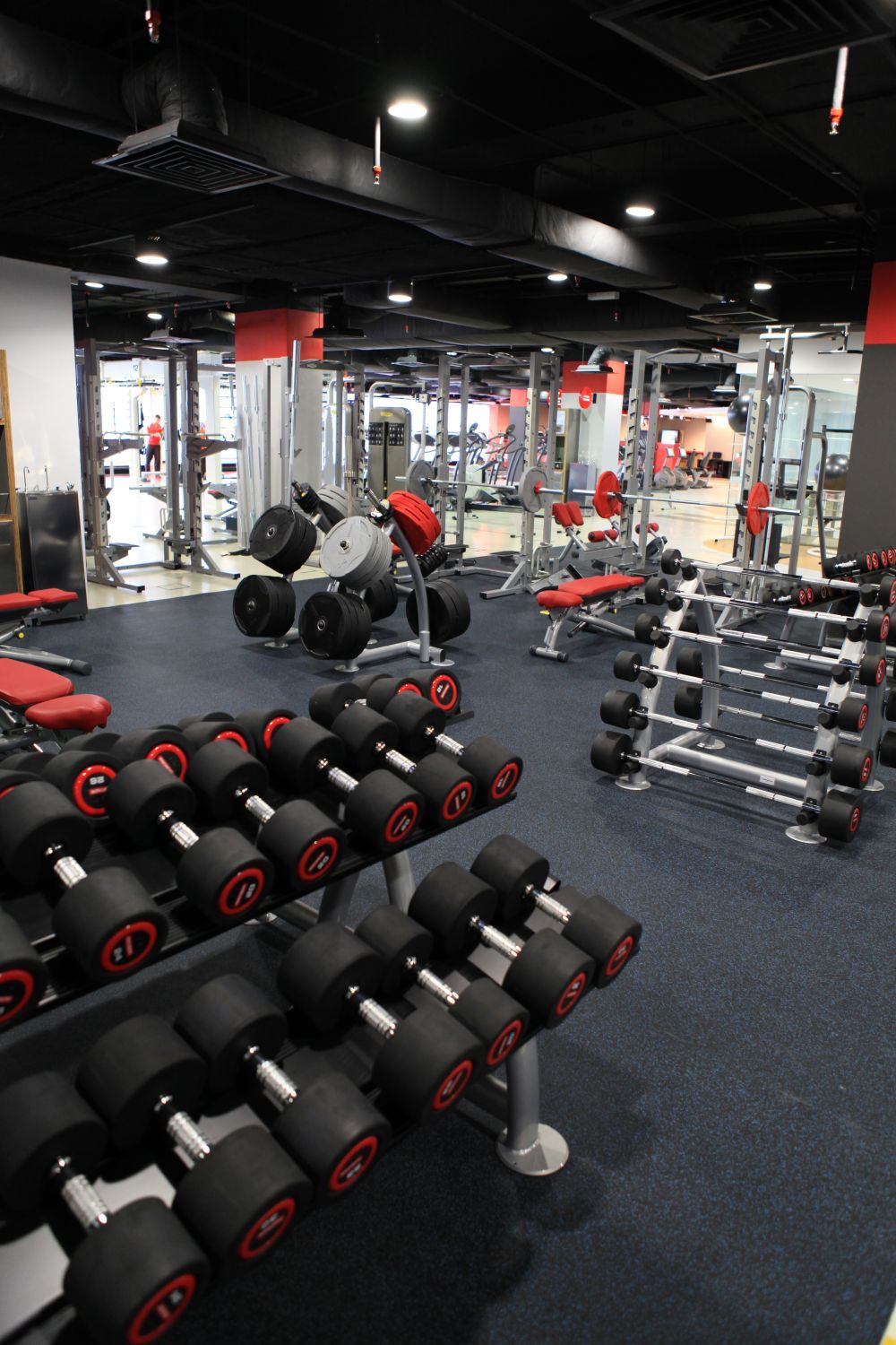 Cables vs. Dumbbells: Which is Better for Your Workout? – Coached By Cal